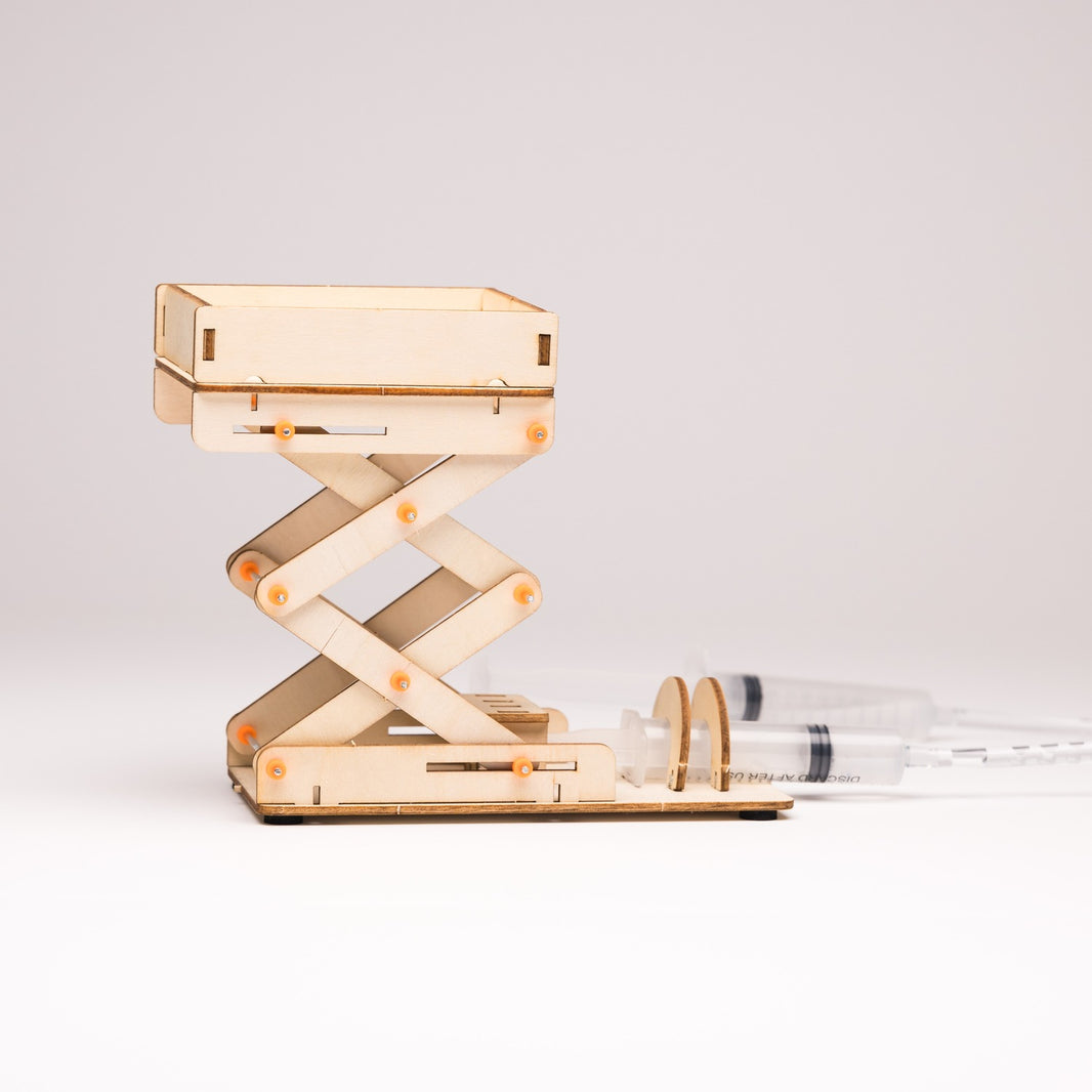 From Play to Passion: How STEM Toys Shape Future Scientists – Young ...